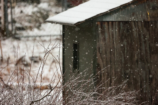 When winter is not done by Corinne C · 365 Project