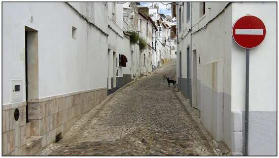 0311-P-044 by borof · 365 Project