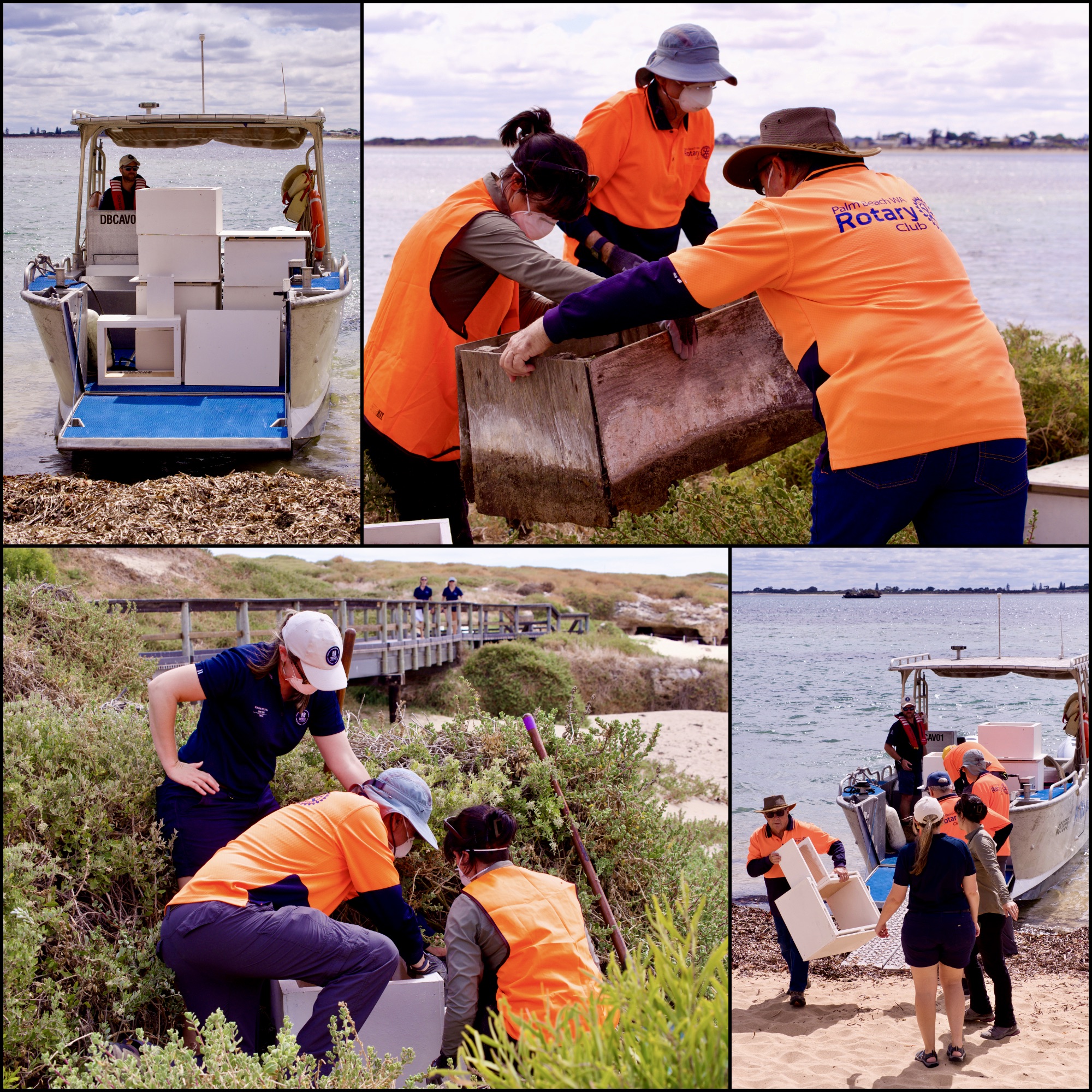 Penguin Nesting Boxes by Merrelyn · 365 Project