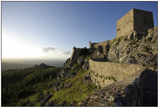 0313-P-056 by borof · 365 Project