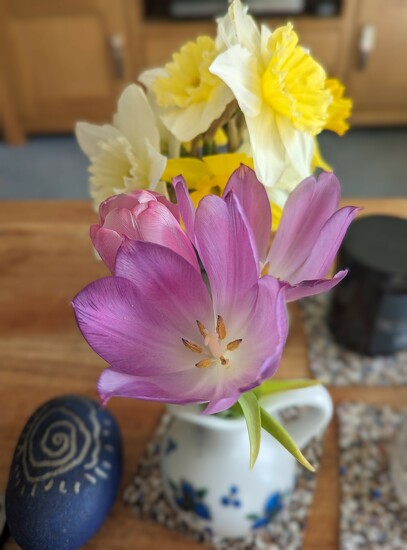 Spring delights by Sarah Bremner · 365 Project