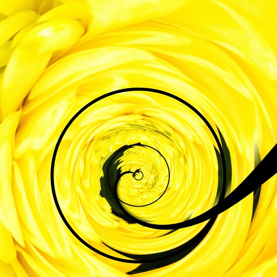 Yellow Swirl by Shutterbug · 365 Project