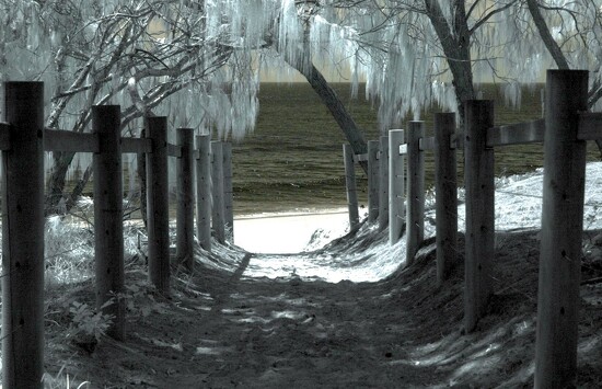 The IR camera went for a walk... by Rob Z · 365 Project