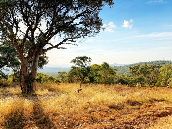 Red hill walk by Wylie · 365 Project