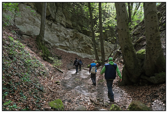 0403-F4293 by borof · 365 Project