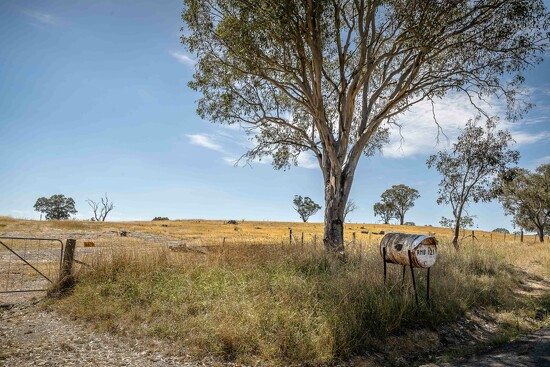 Rural post box (again) by Wylie · 365 Project