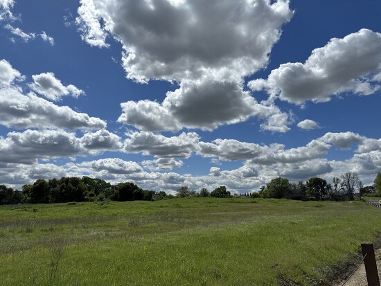 Open Space by Shutterbug · 365 Project