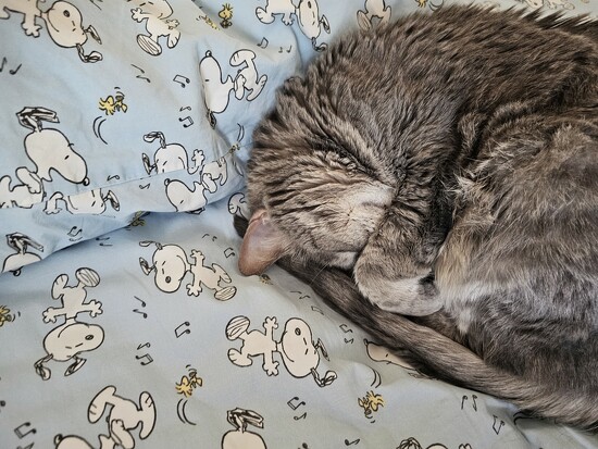 Snoopy snooze by eDorre · 365 Project