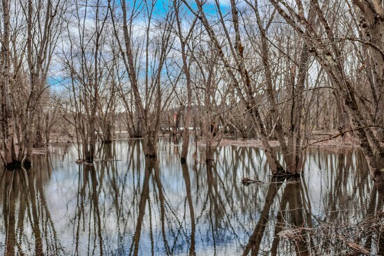 Spring Flooding by Corinne C · 365 Project