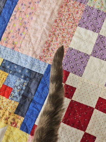 Patchwork tail by eDorre · 365 Project