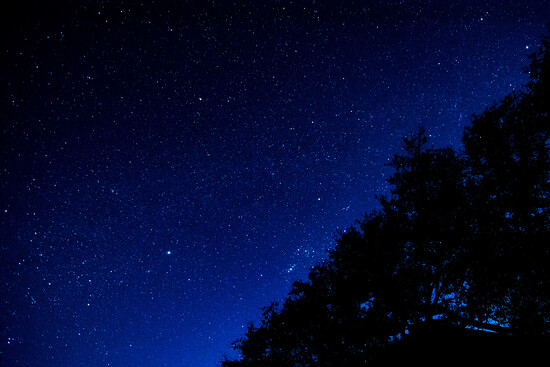 "Starry nights quiet the soul" by Christine Sztukowski · 365 Project