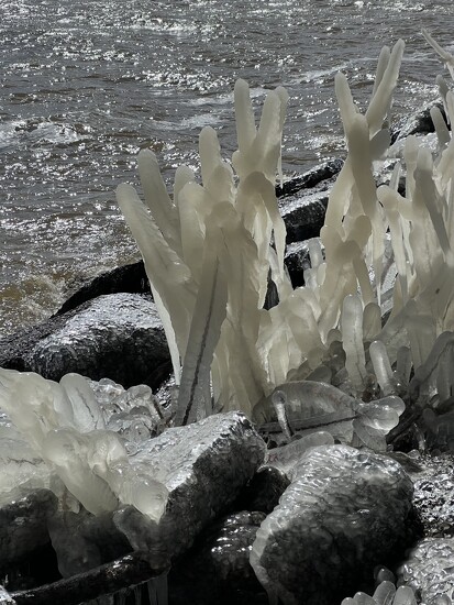 Ice Fingers by Islandgirl · 365 Project