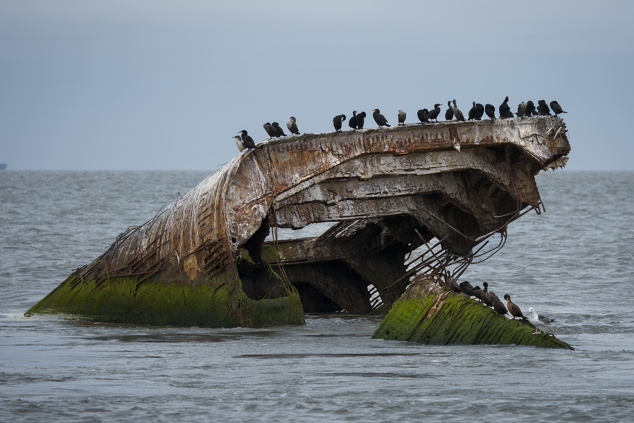 SS Atlantus by Steve Chappell · 365 Project