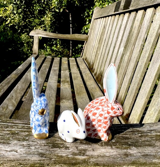 Finally, some sunshine by Renee Salamon · 365 Project