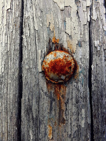 Round & Rusty by ajisaac · 365 Project