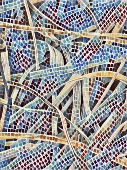 Mosaic grass... by Mags · 365 Project