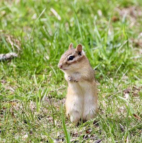 Assessing by Corinne C · 365 Project