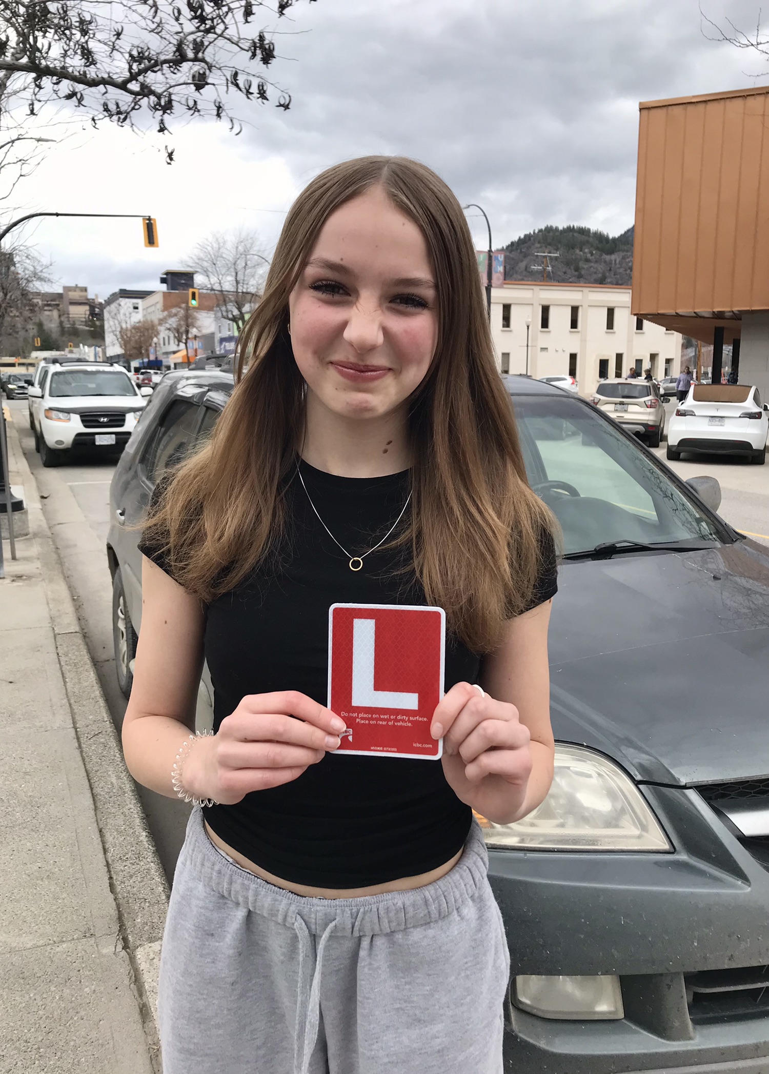 Getting her L by Lesley Chisholm · 365 Project