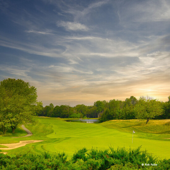 Recently Popular · 365 Project