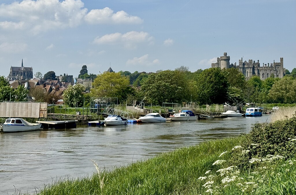 A walk along the River bank. by Susan Wakely · 365 Project