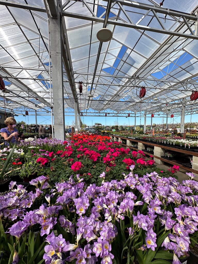 View at Green Acres by Shutterbug · 365 Project