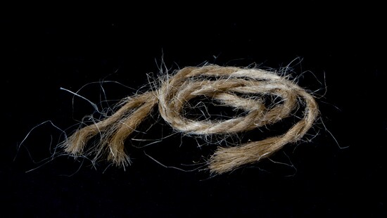 Recently Popular · 365 Project