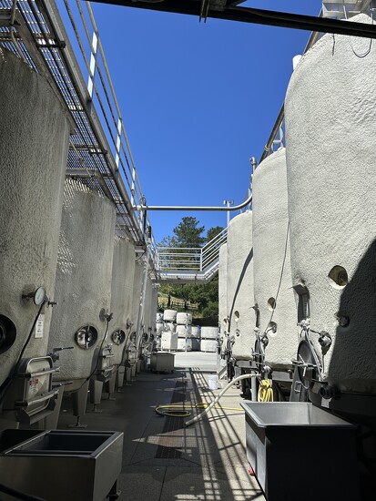 Shadow and Light by Shutterbug · 365 Project