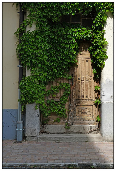 0510-F4936V by borof · 365 Project