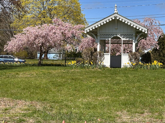 A gazebo at the cemetery by Joan Robillard · 365 Project