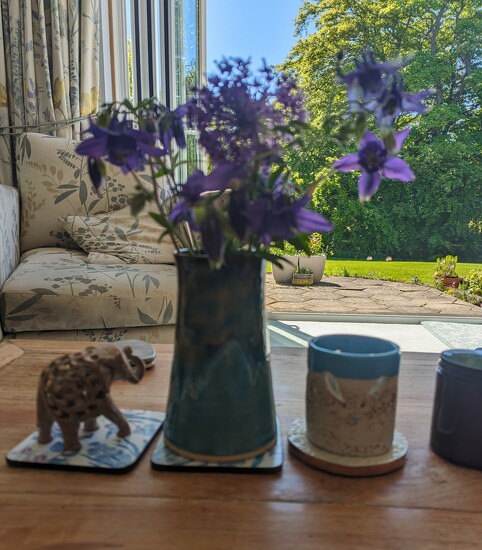 Sunshine day by Sarah Bremner · 365 Project