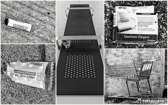 Curse Collage by Zilli~ · 365 Project