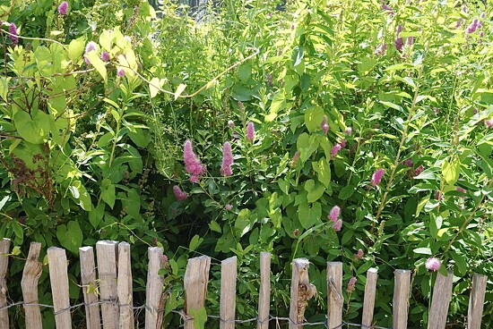 It can be sunny everyday but not as authentic as on a Sunday by ...