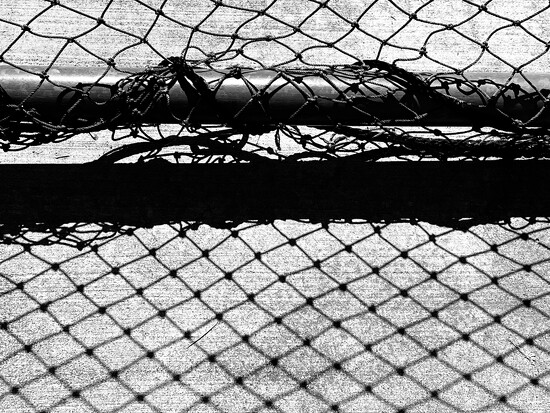 High Contrast Monochrome #2 by Mary Siegle · 365 Project