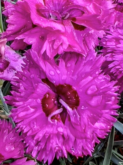 We expect the sun today! by Corinne C · 365 Project