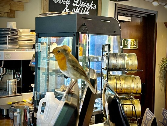 Help in the shop by Nigel Rogers · 365 Project