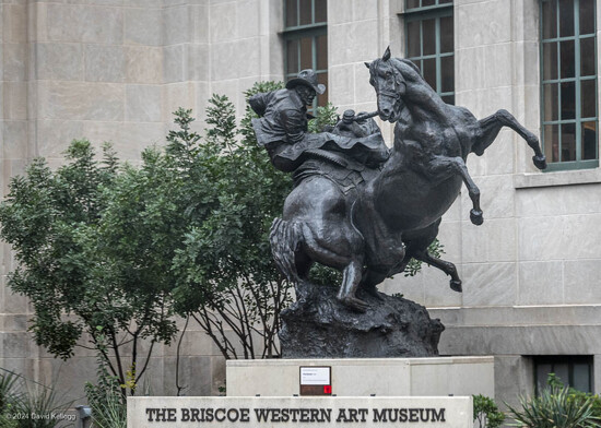 Briscoe Art Museum by Bucktree · 365 Project