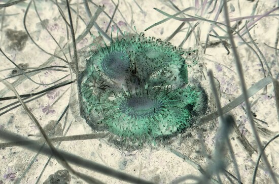 Time for some colour #4 by Rob Z · 365 Project