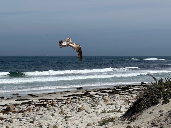 Caught it by Shutterbug · 365 Project