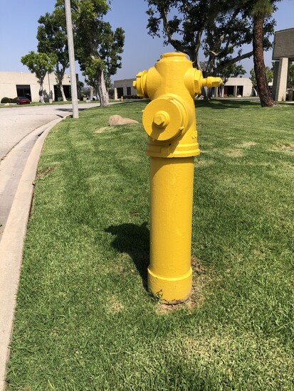Fire Hydrant by Lois · 365 Project