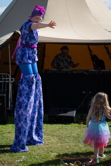 Flamboyant Characters by Ann Cooke · 365 Project