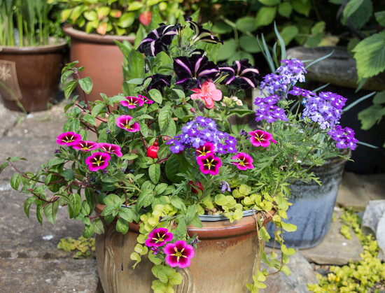 The pop pot by Judith Johnson · 365 Project