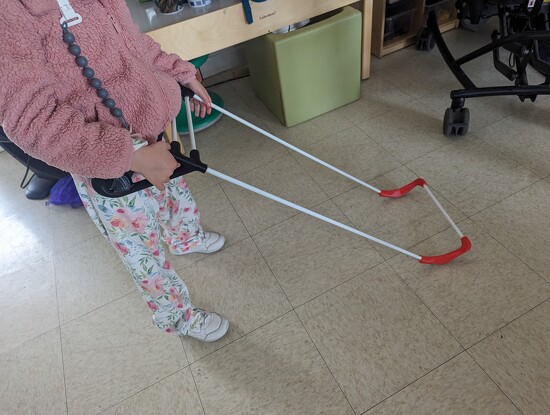 Belt Cane by Ellen E · 365 Project