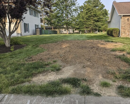 “After” by Thom Mitchell · 365 Project