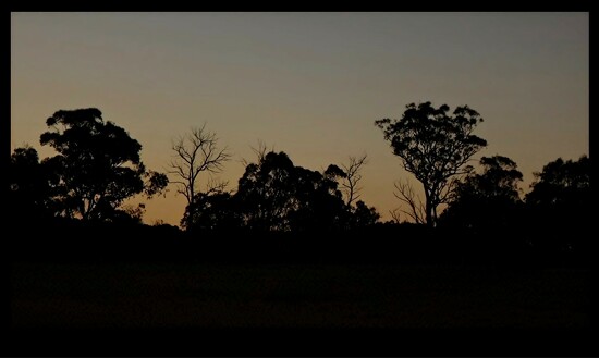 Sunset with a fat border at the bottom... by Rob Z · 365 Project