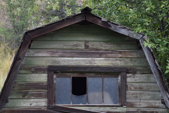 Weathered... by Barb · 365 Project