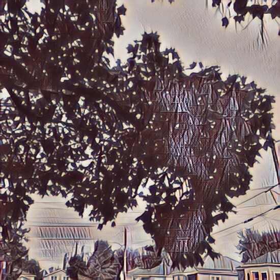 Contrast by Liz Milne · 365 Project