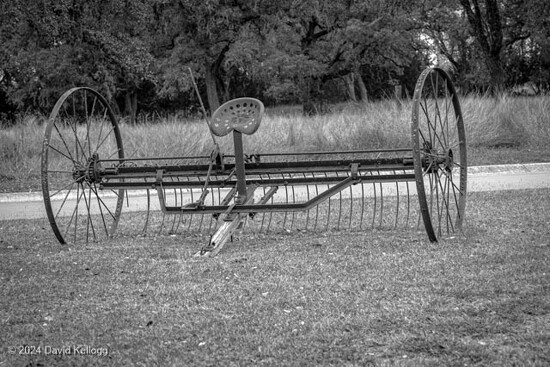 Buck Rake by Bucktree · 365 Project