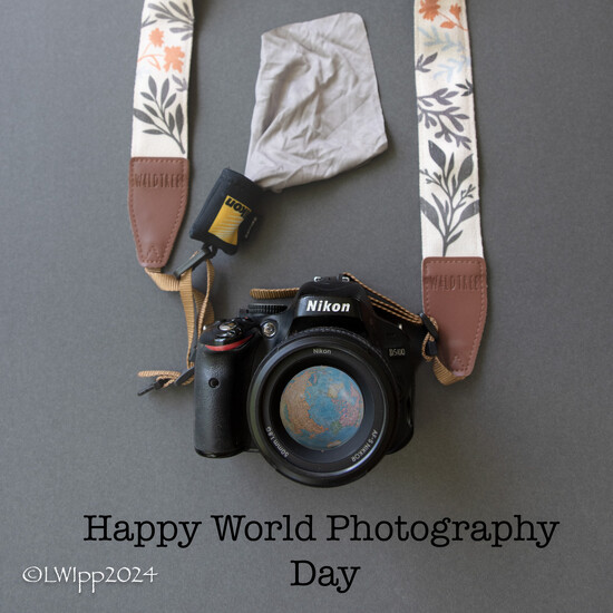 World Photography Day by Leslie · 365 Project