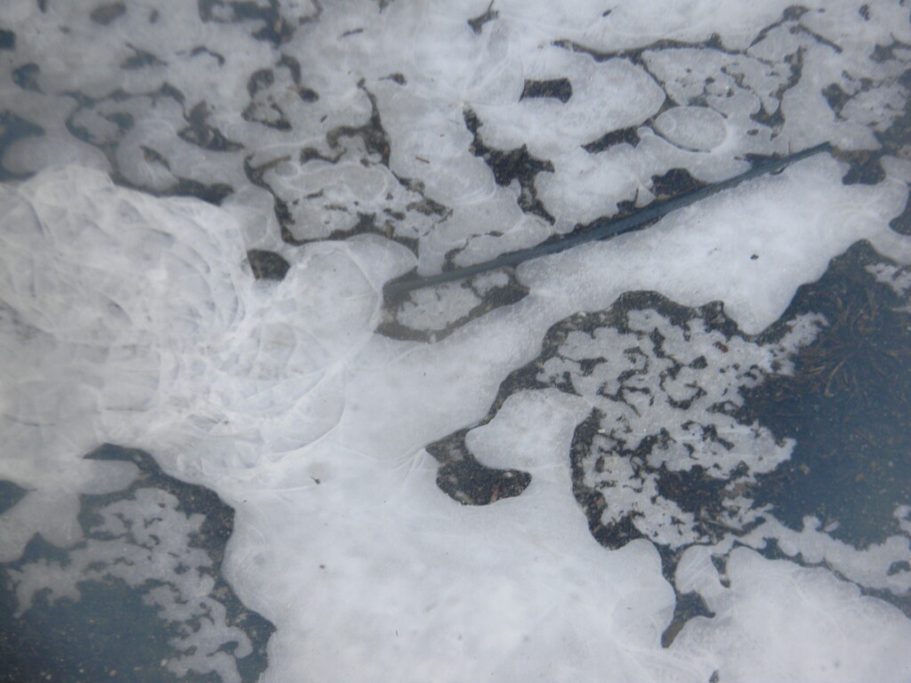 Ice Beneath Car in Parking Lot by Sam A. Feldstein · 365 Project