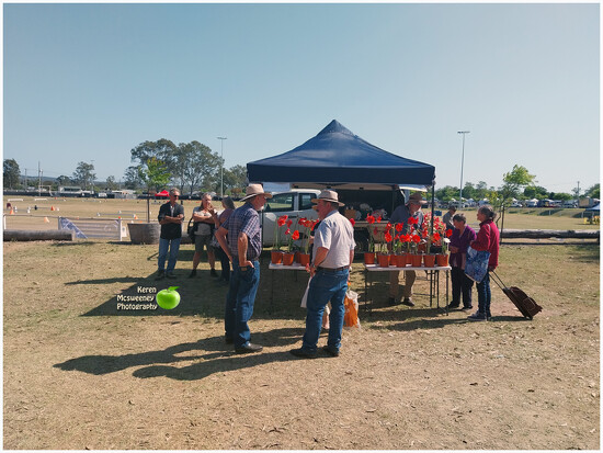 At the Nanango country market by Keren · 365 Project